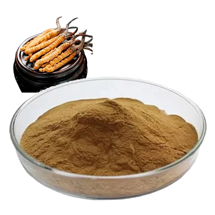 Mushroom Extract Complex Supplement Solvent Extracted Powder Form ...