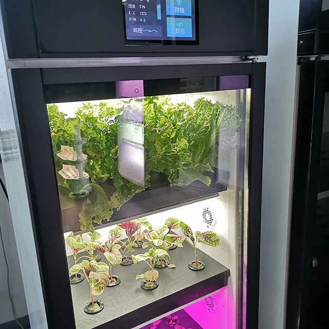 Indoor Hydroponic System - Single Door Growing Solution