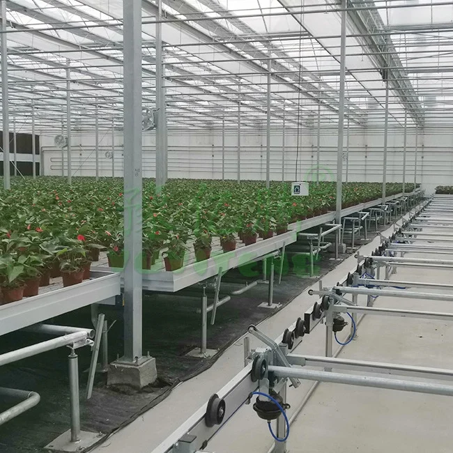Greenhouse 4x8 Flood Rolling Bench - Hydroponic Growing Table