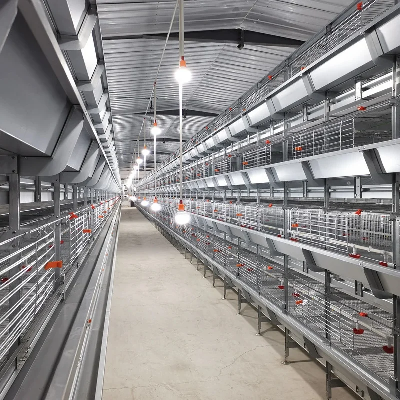 3 Tier H Type Fully Automatic Battery Chicken Broiler Cage System