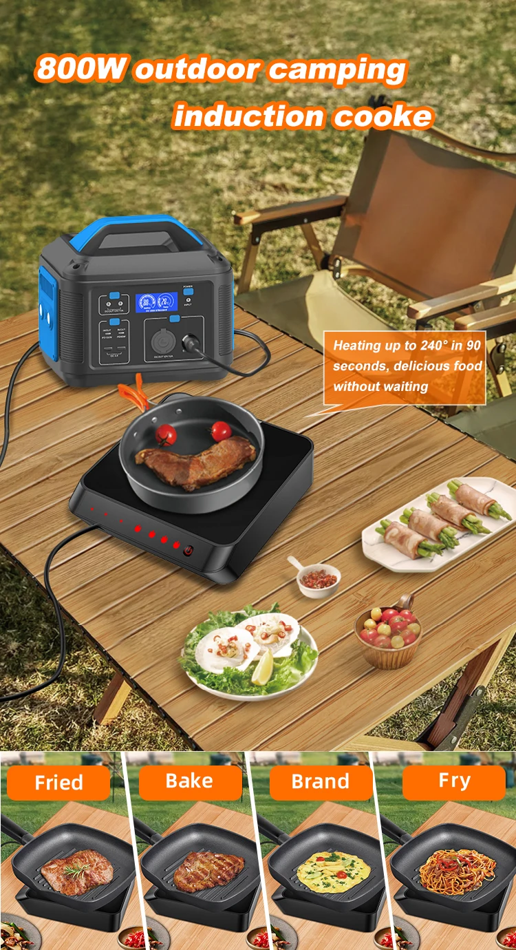 Stw 48v Dc Solar Cooker With Built In Battery Induction Cookers - Buy ...