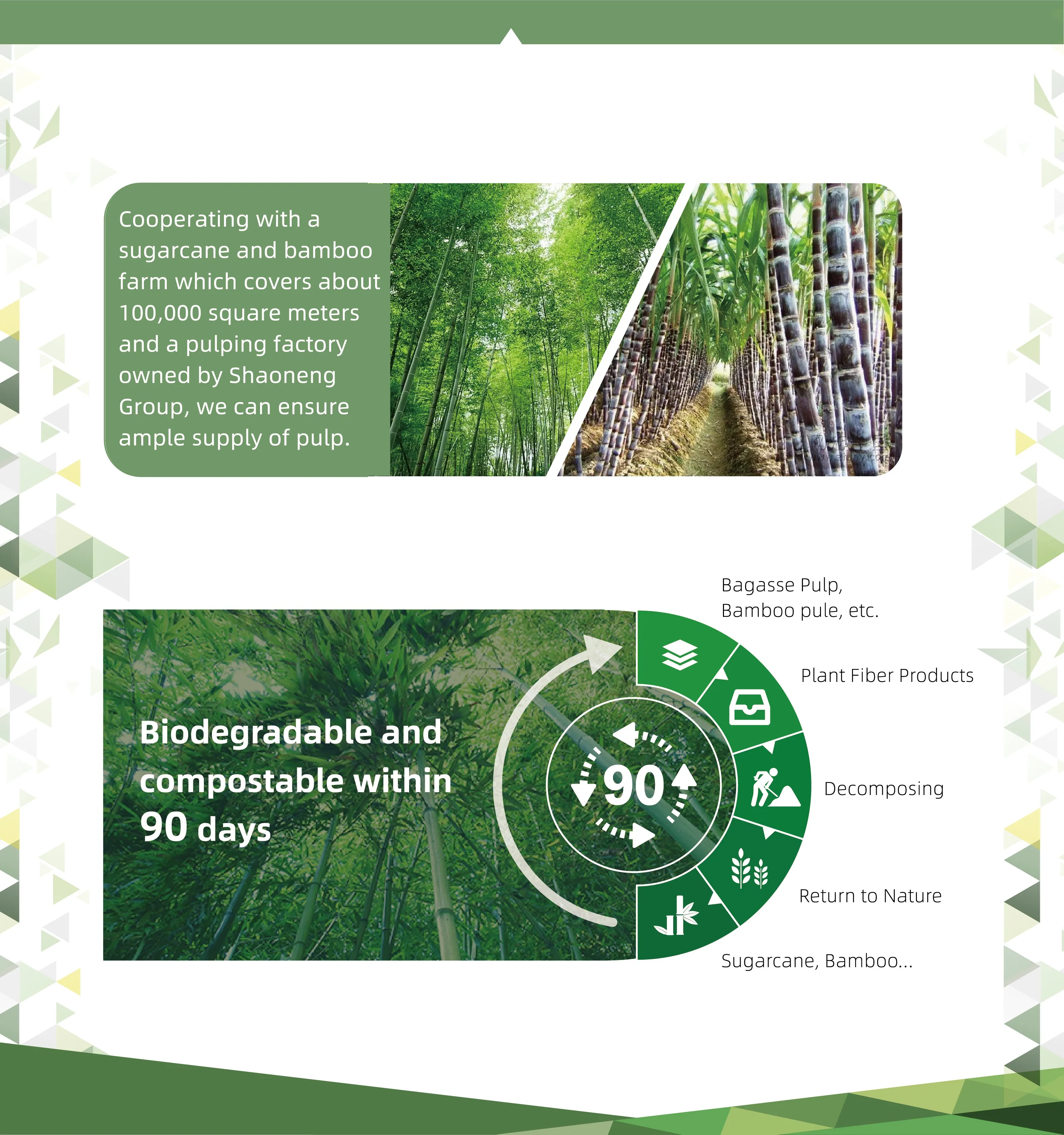 Oasis 16Oz Biodegradable Disposable Ramen Dessert Bowl Sugarcane ...