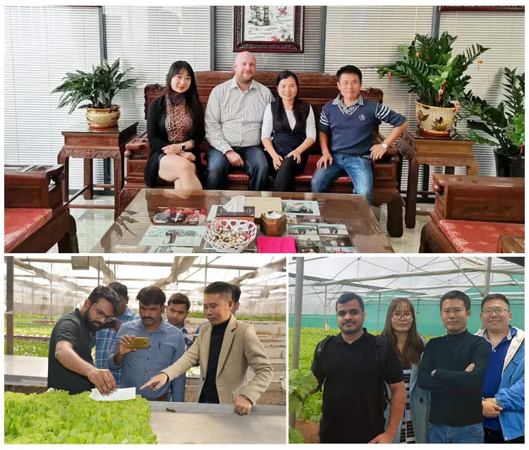 2x4 Grow Box with Cover - Hydroponics Flood Tray for Indoor Growing