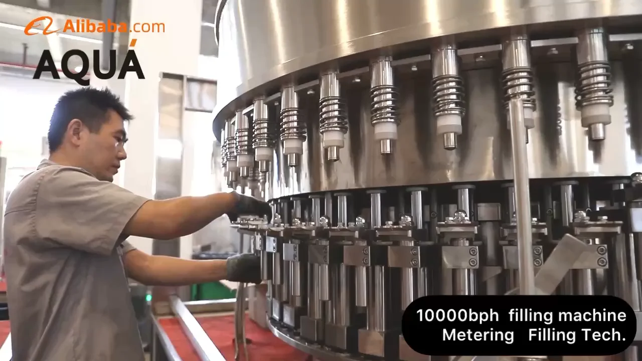 Completely Mineral Water Bottling Lines / Drinking Mineral Water Plant ...