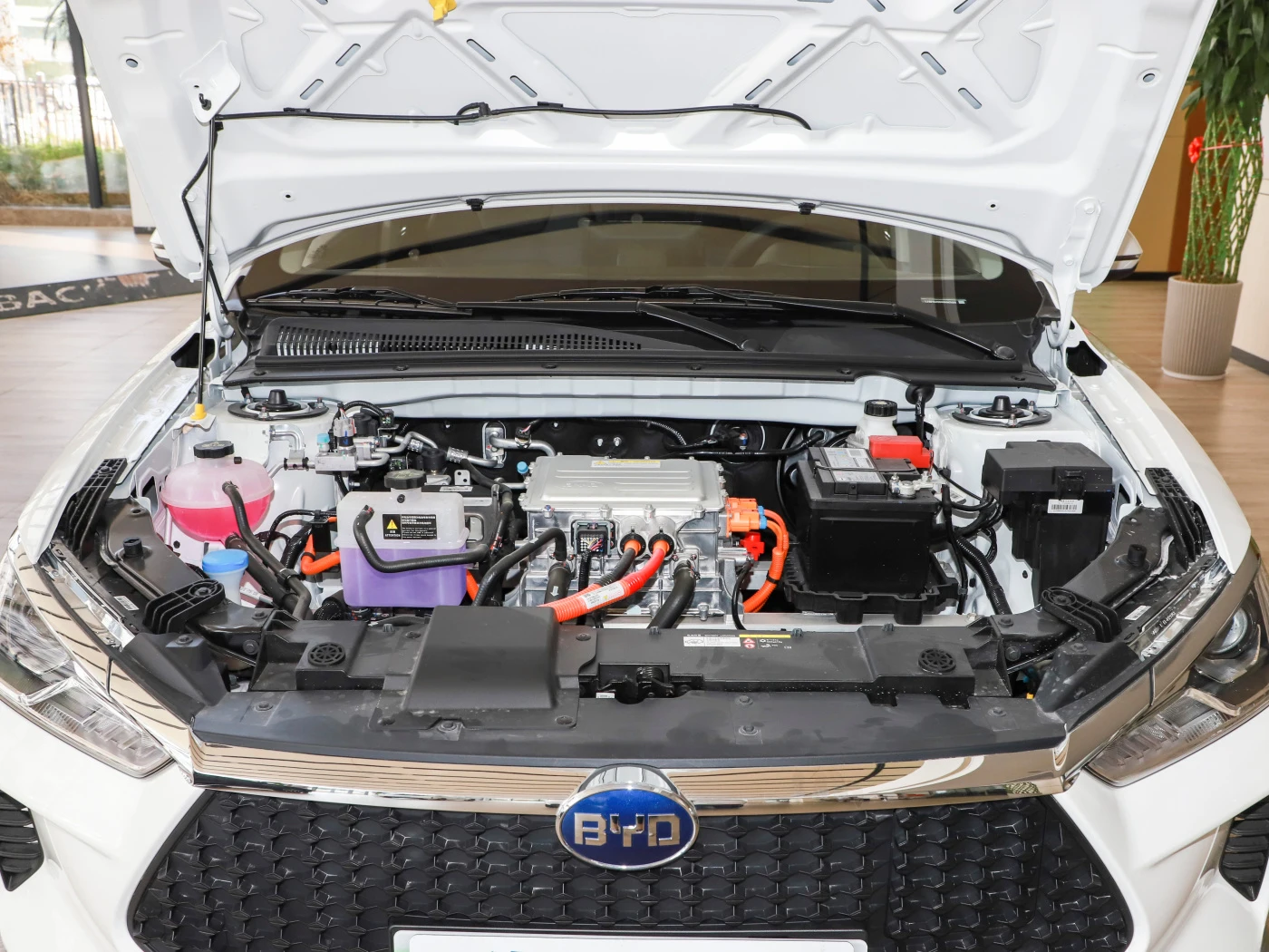 Coches Usados Autos Electrico Byd Car Price Adults Vehicle Carros Byd ...