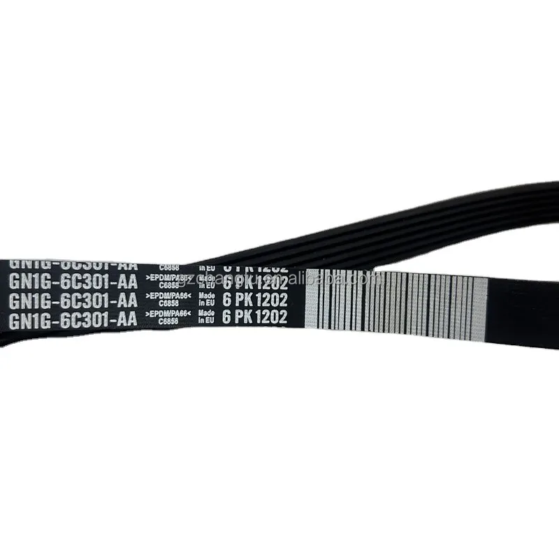 6PK1202 GN1G6C301AA GN1G-6C301-AA Auto Part Drive Belt for FORD ...