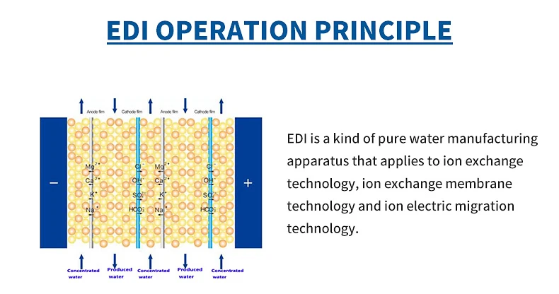 3.0TPH Ion Pure EDI Electrodeionization EDI Module for Ultrapure Water ...