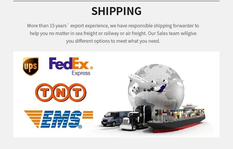 Pizza Shipping Box Packaging Carton Cheap Price Biodegradable 10 12 13 ...