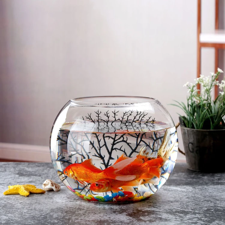 Handmade Clear Round Glass Fish Bowl Transparent Table Decoration Glass ...