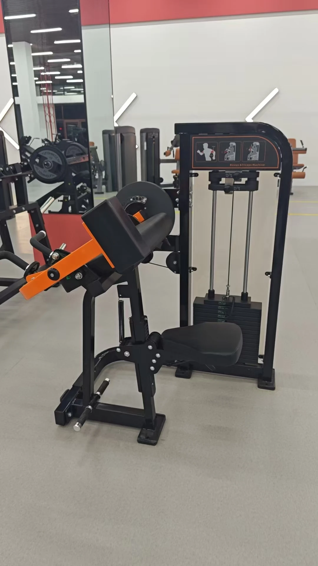 Armstrong Commercial Adjustable Steel Biceps Workout Machine Gym ...