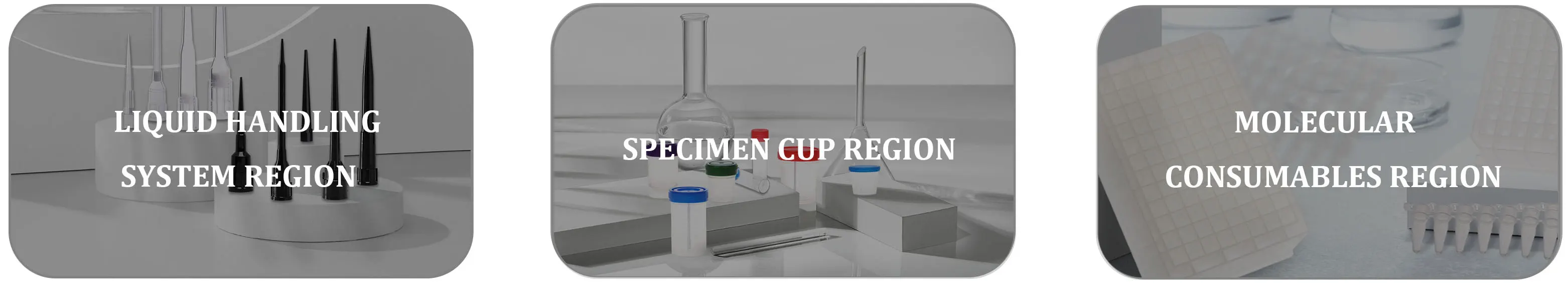 Fanen 22x22mm Glass Microscope Coverslip Laboratory Use 24x50mm Cover ...