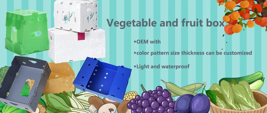 Customized Pp Sweet Corn Box Plastic Asparagus Box Recyclable Pp ...