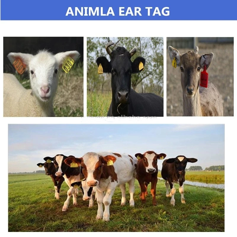 Factory Cattle Cow Pig Sheep Goat Livestock Ear Tag TPU Plastic Neck ...
