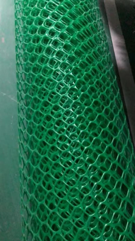 HDPE Geonet Reinforcement Plastic Meshes for Slope Protection