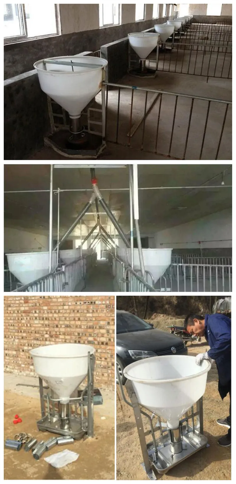 Automatic Piglet Feeder - Efficient Pig Farming Equipment