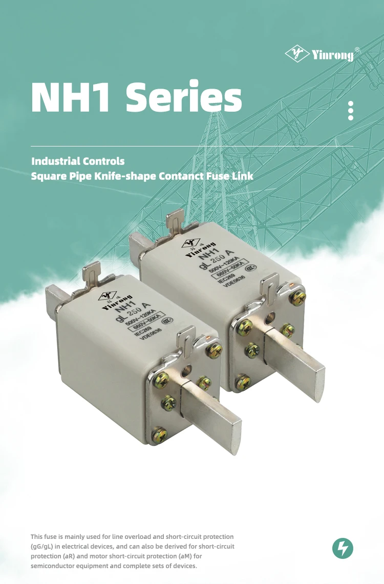 NH1 Fuse - High Breaking Capacity for Low Voltage Applications