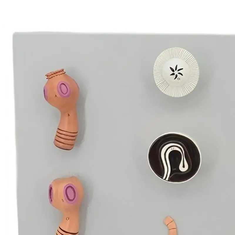 Tapeworm Anatomy Model - Educational Aid for Taenia Solium & Taenia ...