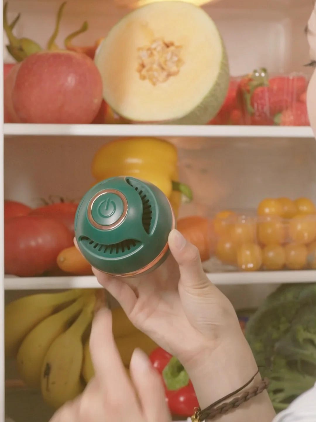 Refrigerator Deodorant Freezer Professional Grade Ozone Generator Air ...