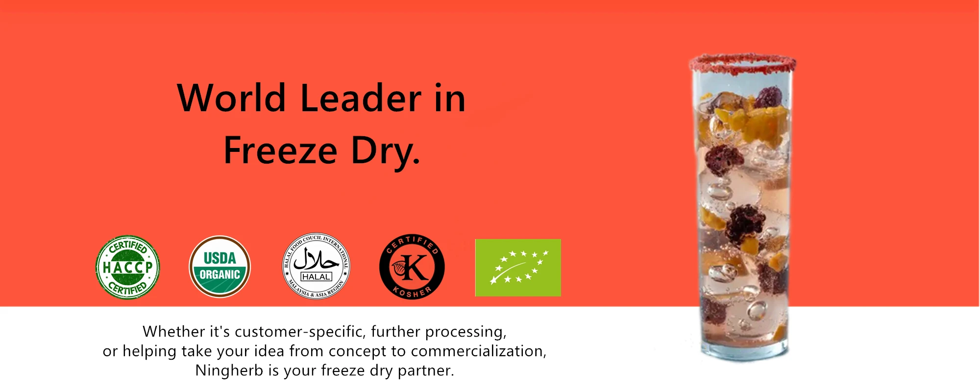 Fd Spinach Lyophilized Freeze Dried Vegetables Freeze Dried Spinach ...