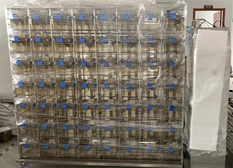 Ivc Mouse Tubs System Rat Breeding Rack Individual Ventilated Cage ...