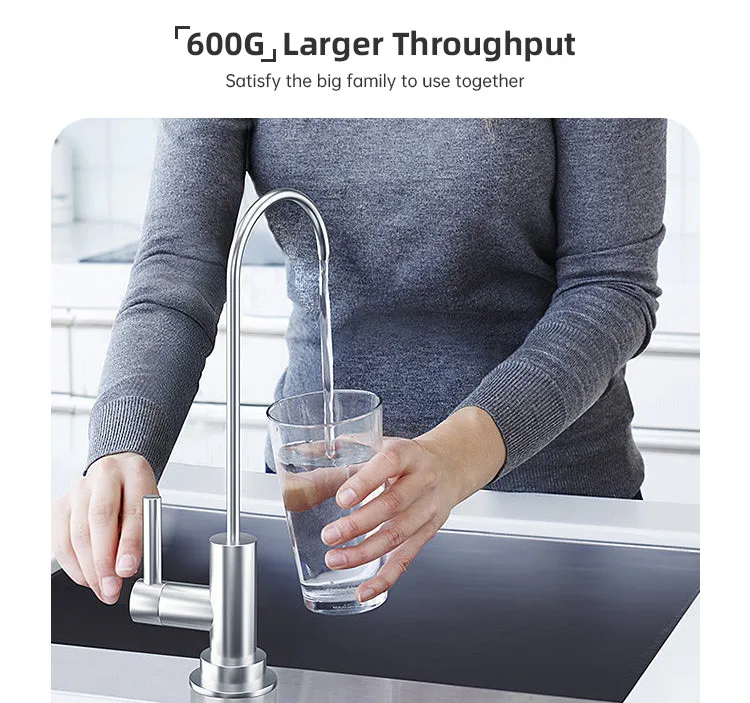 Ro Reverse Osmosis System 600 Gpd Ro System Flow Rate Long Filtration ...
