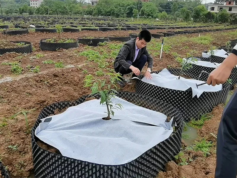 Agriculture Mulch Anchor Nail Landscape Fabric Plastic Ground Nail Weed ...