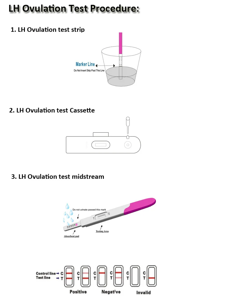 Ovulation Test Strips Easy to Use High Precision LH Test Strip for ...
