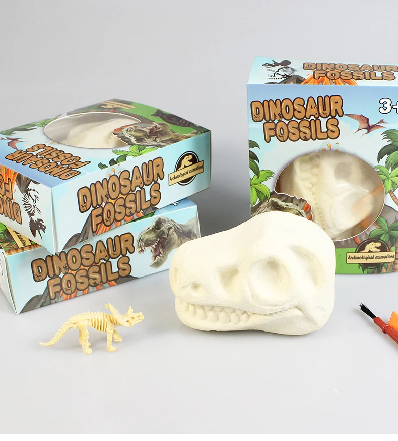 Promotion Plaster Dino Skull Model Dinosaur Skeleton Fossils Digging ...