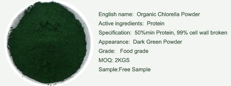 Wholesale Price USDA Certified Chlorella Powder for Immunity