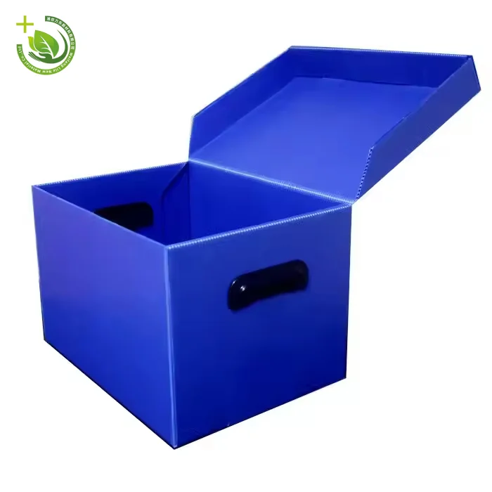 Folding Coroplast Archive Box - Customizable & Durable
