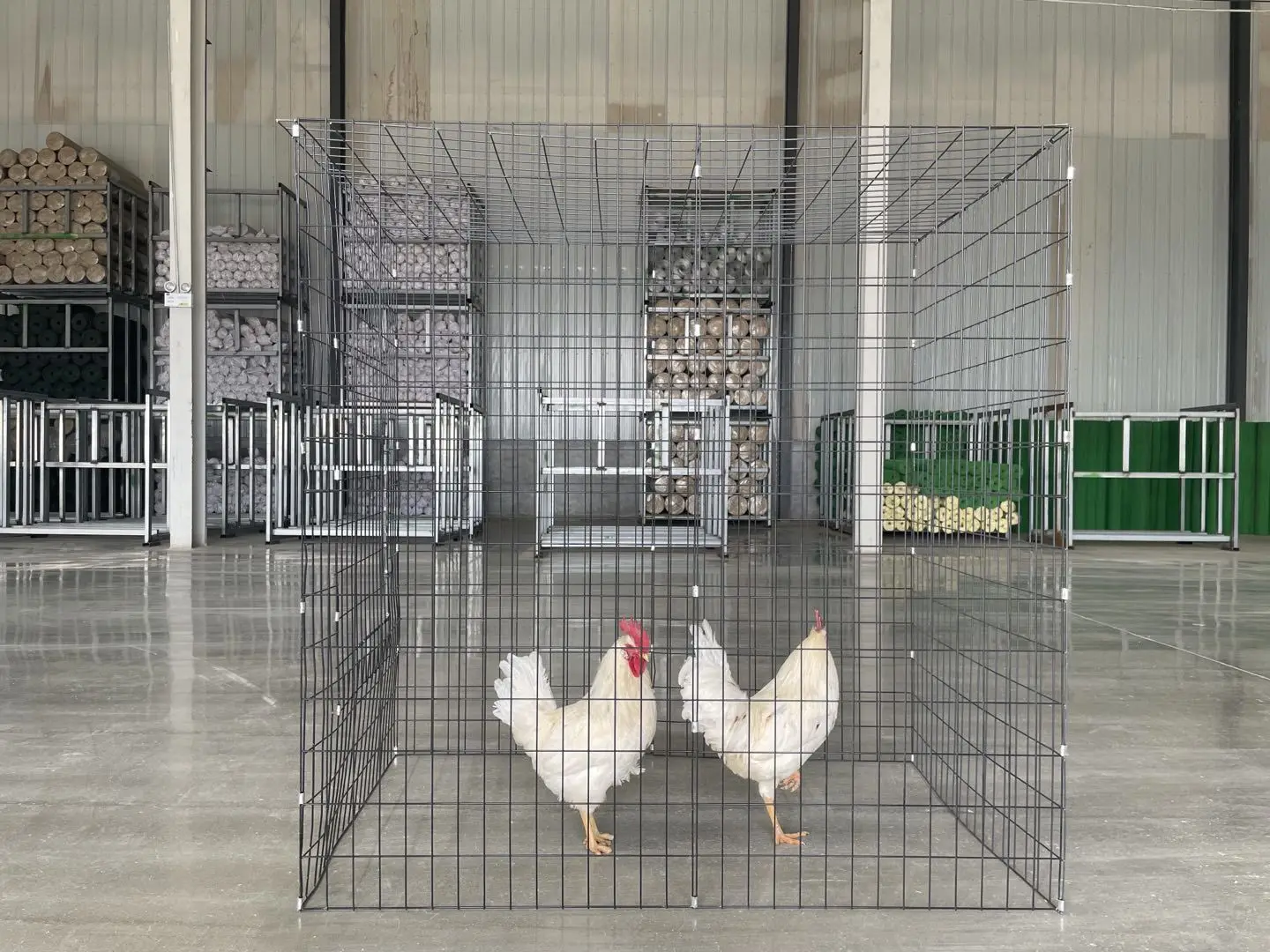 Galvanized Fly Pen - Durable and Versatile Mesh Solutions