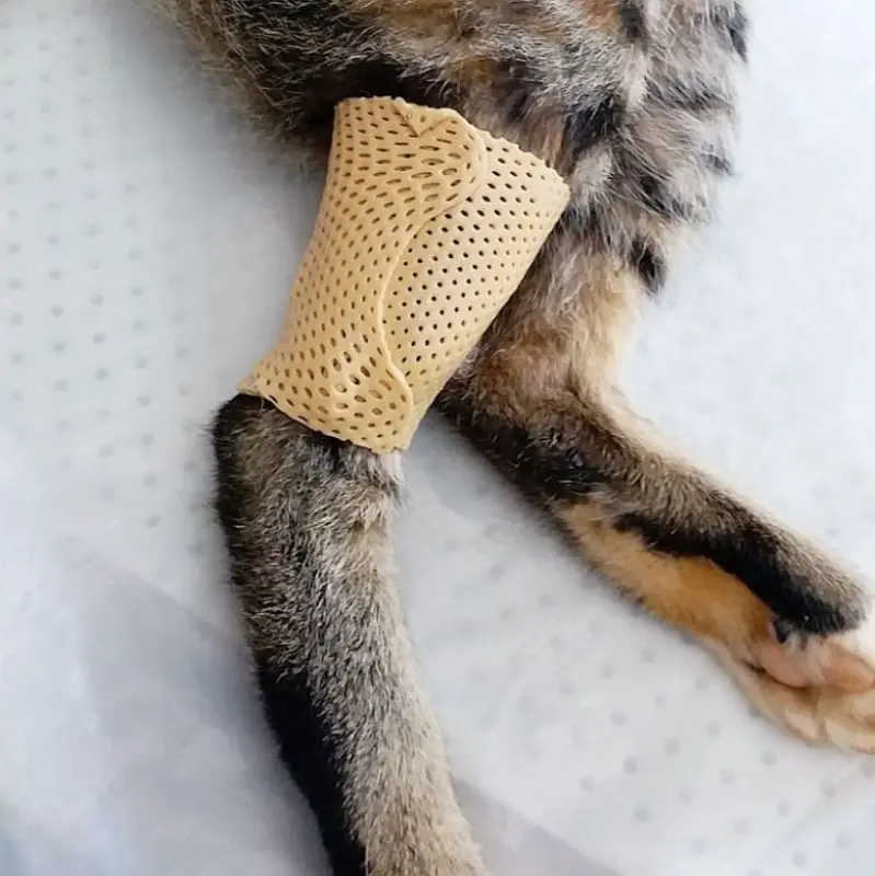 Moldable Splinting Material Low Temperature Pet Dog Cat Leg Bone ...