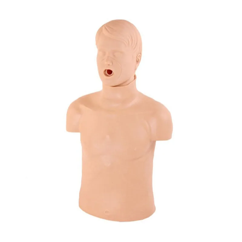 Cpr169 Half Body Human Airway Obstruction Cardiopulmonary Resuscitation ...