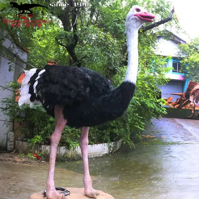 Animatronic Ostrich Life Size Animal Model| Alibaba.com