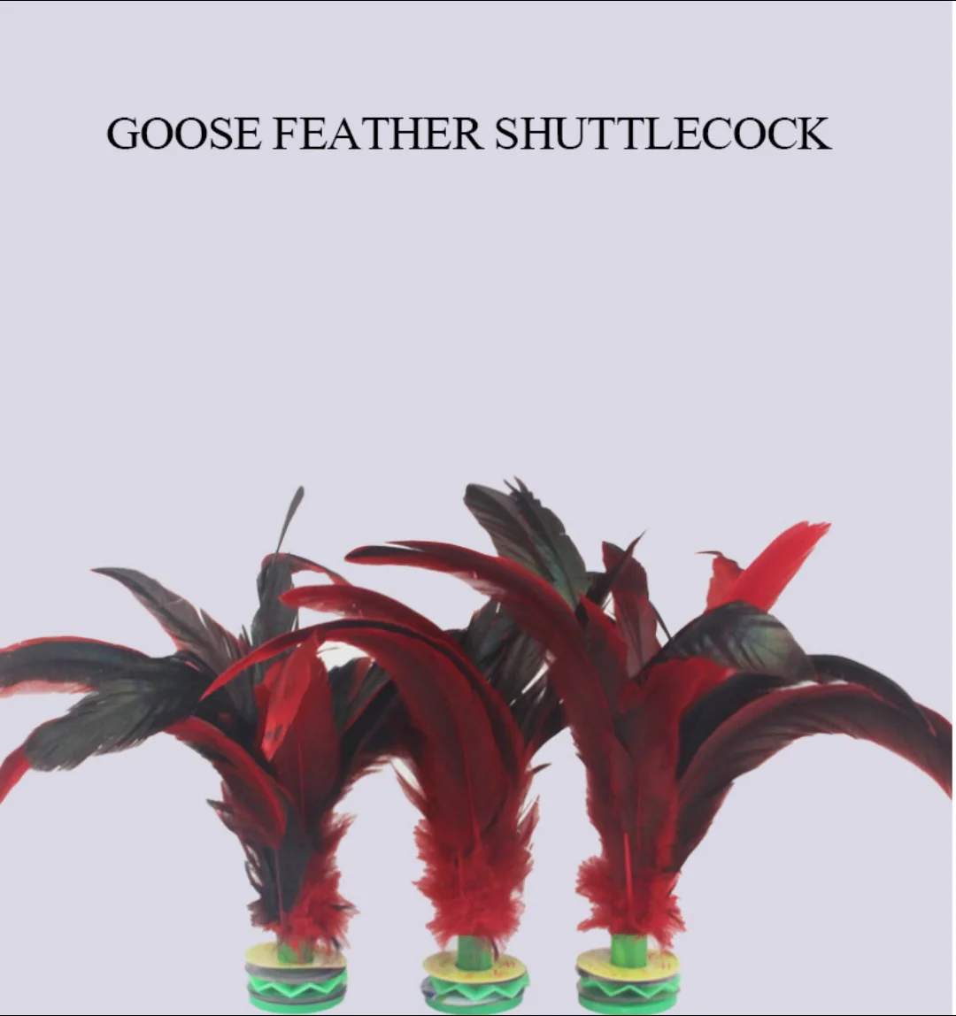 Exercise Leg Muscle Strength And Body Flexibility Sport Kick ...