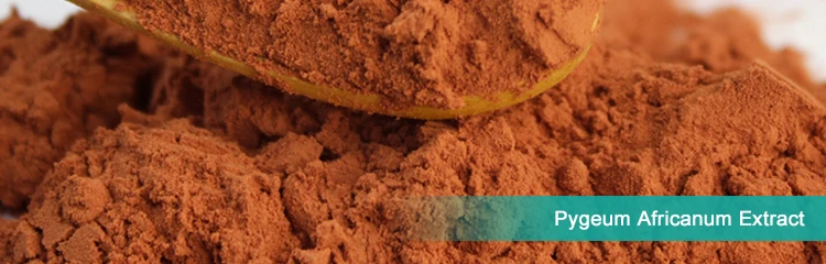 High Quality 13% Total Phytosterols Pygeum Africanum Bark Extract ...