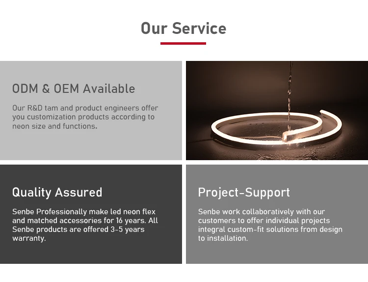 Dmx512 Addressable Pixel Led Neon Flex 24v Ip68 Chasing Spi ...