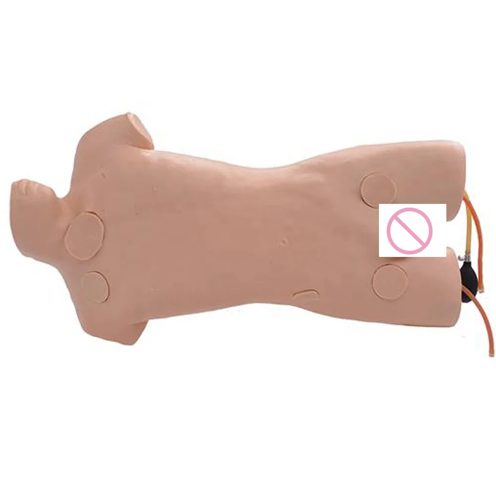 Mult-functional Venous Puncture Simulation Human Internal Jugular ...