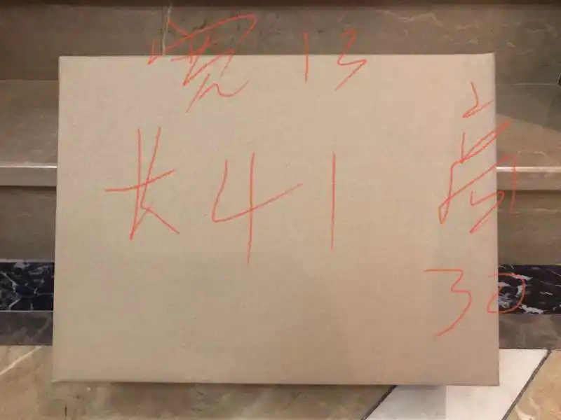 Video Termite Detector Termites Hazard Monitoring With Endoscope Lens ...