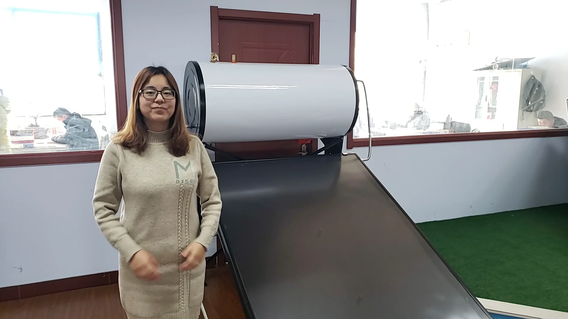 100l 200l Solar Boiler Capacity Tank Flat Plate Solar Heating System ...