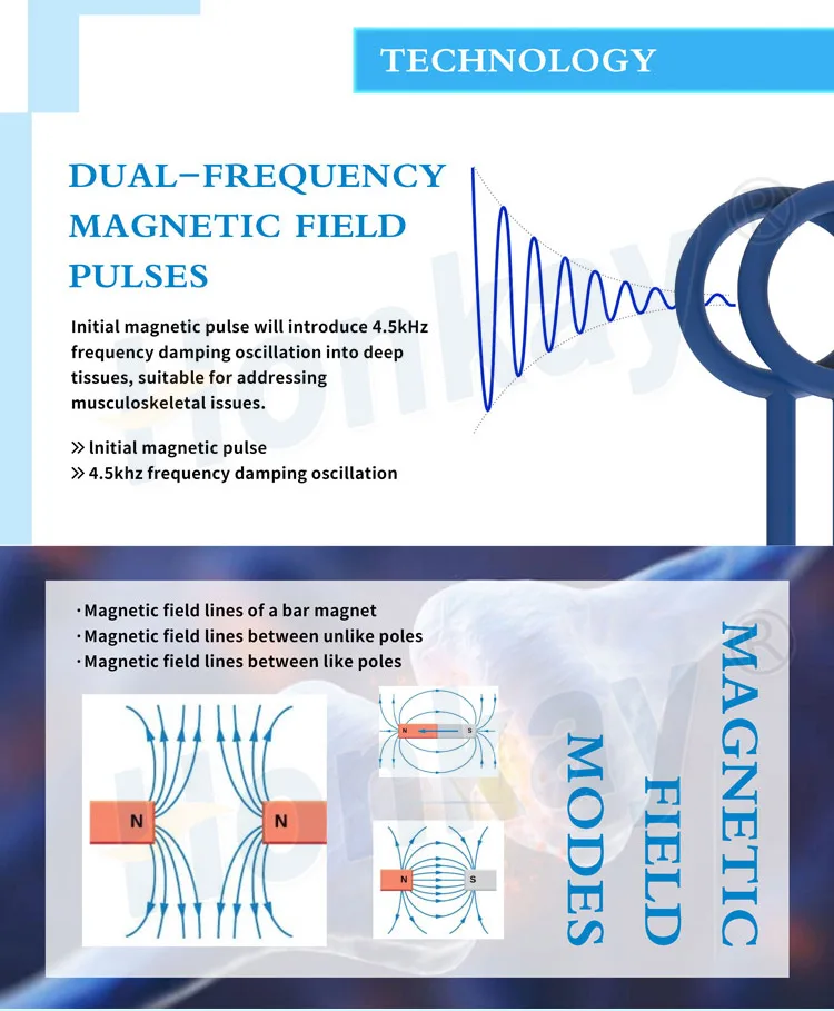 Professional Painless Pemf Pulsed Magnetic Therapy China Pmst Double ...