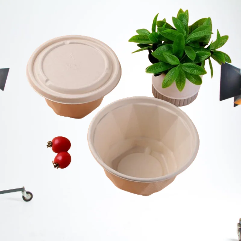 Disposable White Salad Food Packaging Boxes Dishes & Plates with Paper ...