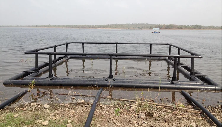 HDPE Fish Farming Cages for Aquaculture - Durable & Efficient