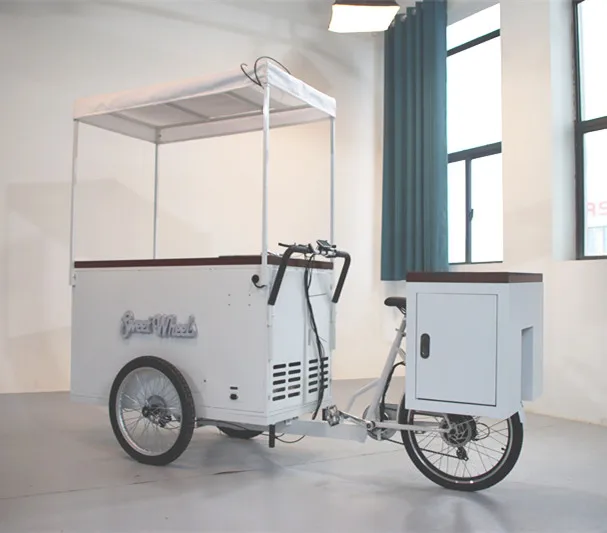 Ice Cream Bike with 258L Freezer - Perfect for Popsicles