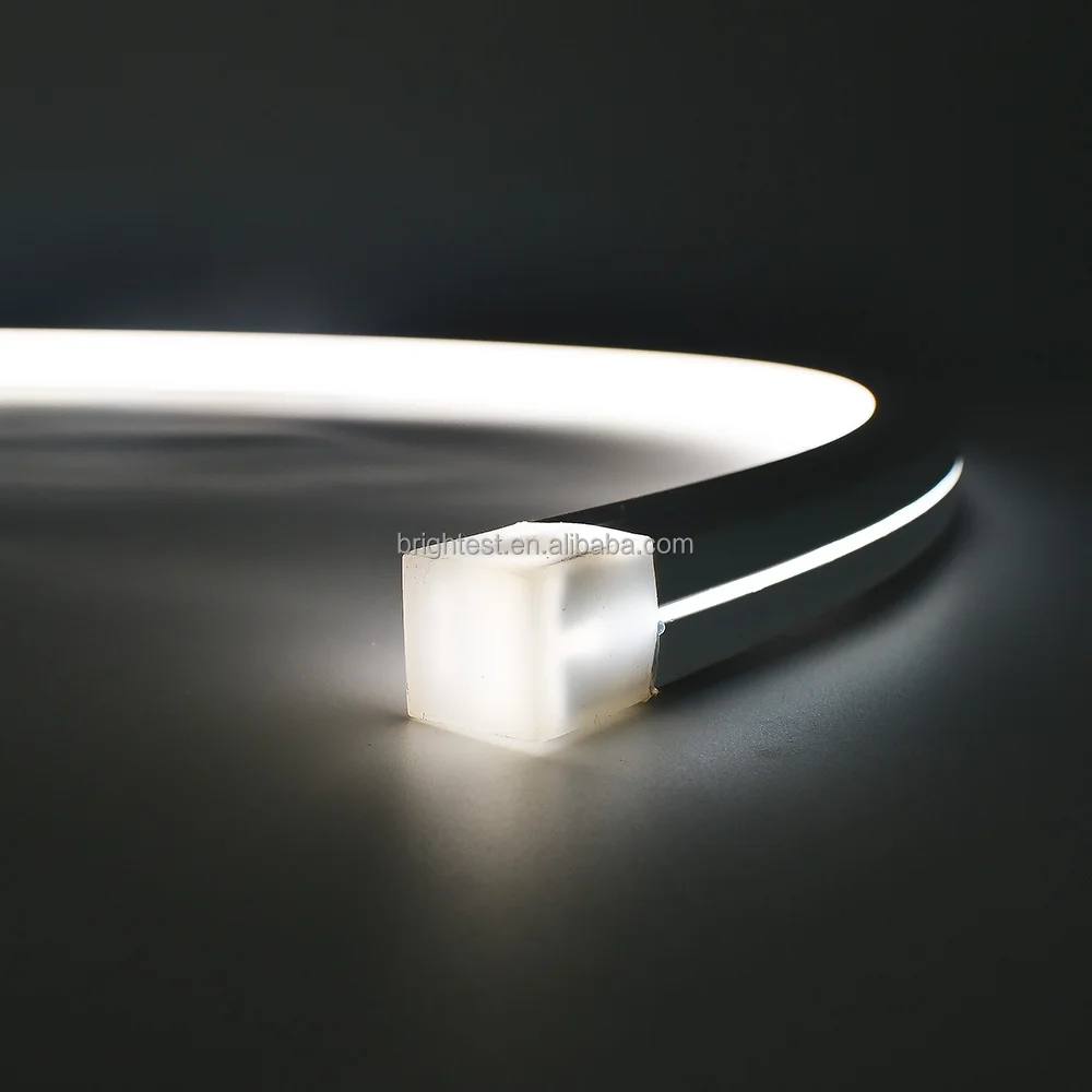 RGB D20 360 Degree LED Neon Rope Light - Durable & Bright