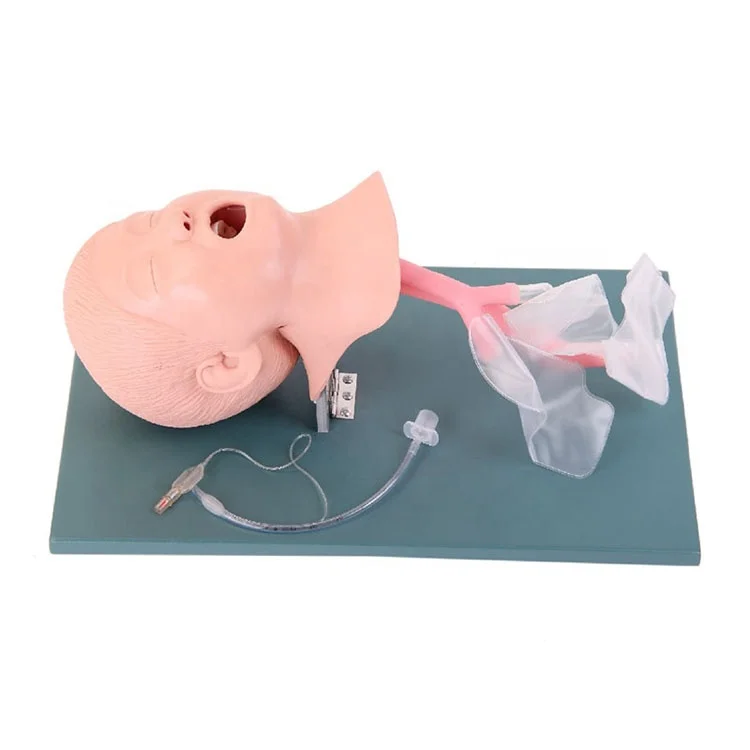 Intubation Manikin Teaching Resource Sc-j4a Children Trachea Intubation ...