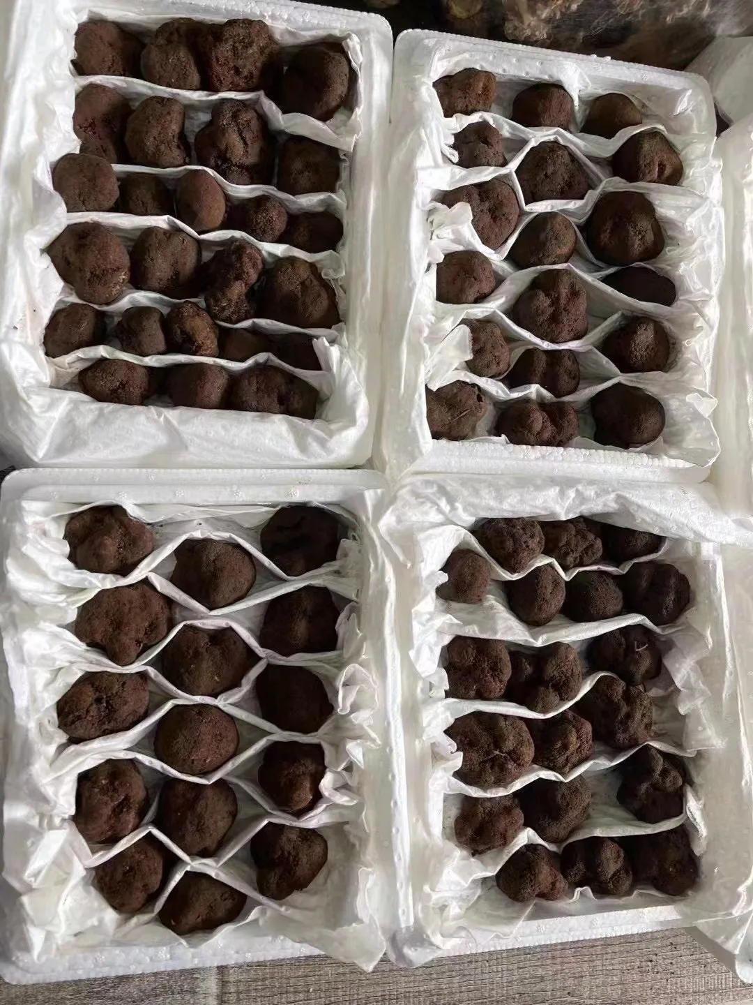 Factory Wholesale Wild Truffle Dried Slices - Buy Wild Dried Fresh ...