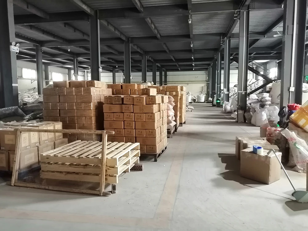 Wholesale Natura Seashell Green Conch For Diy Home Decoration - Buy ...