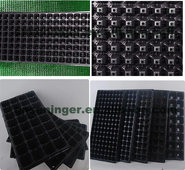 Polystyrene Seed Germination Trays - Durable & Versatile