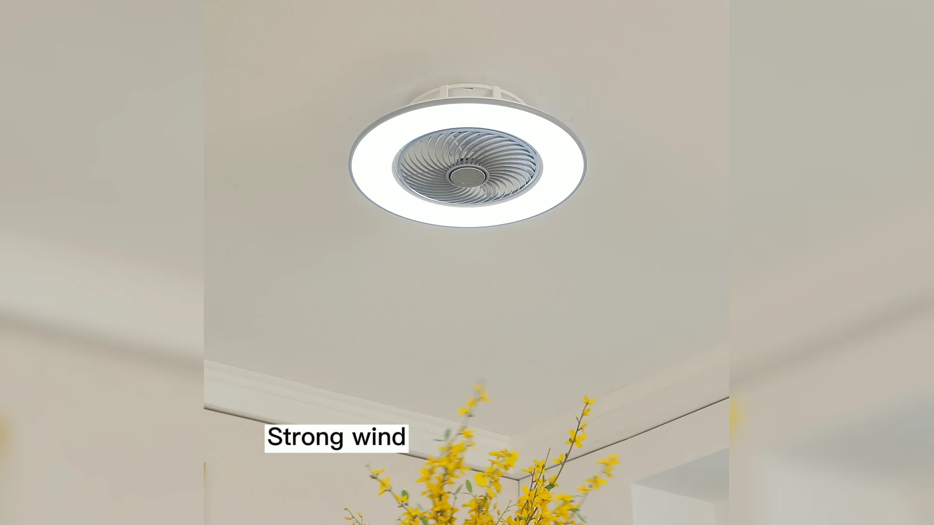 754c Chandelier Ceiling Fan With Light With Remote 46cm 3 Color ...